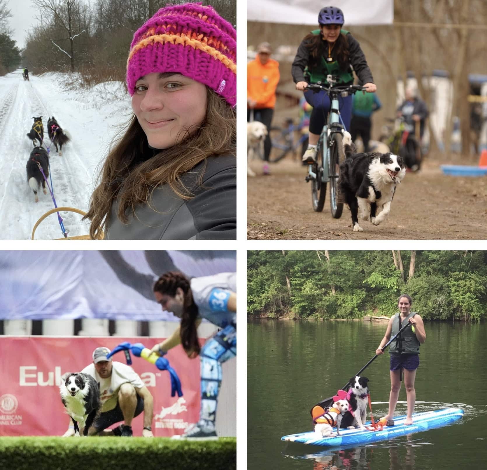 About Happy Feet Dog Training | Beaver & Pittsburgh